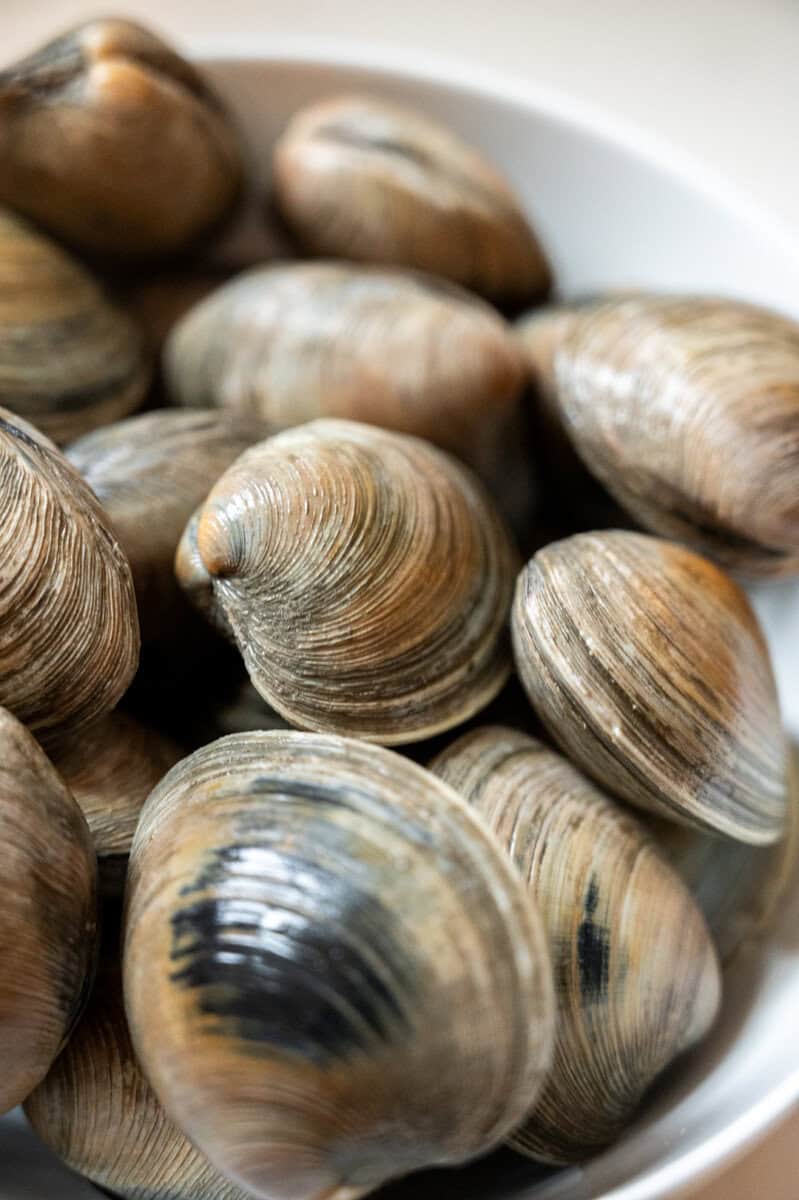 Italian Baked Clams Oreganata Recipe - Tasting With Tina